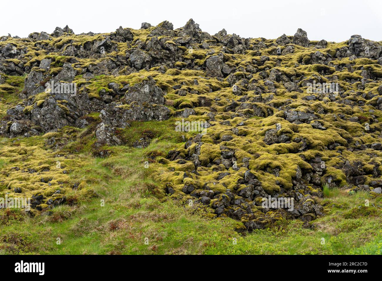 Mossy volcano hi-res stock photography and images - Alamy