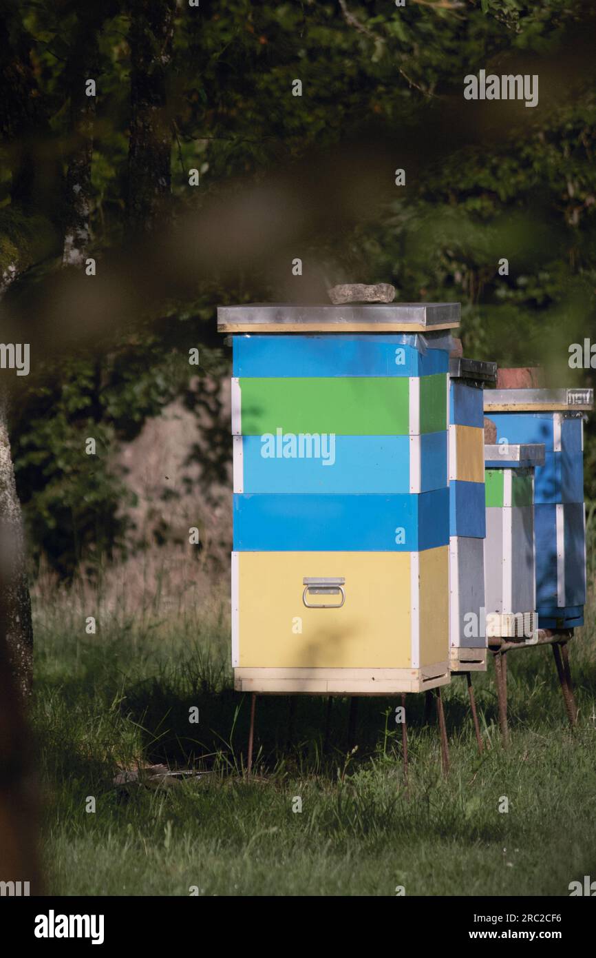 Multi-colored bee hives. Stand in rows in a village garden Stock Photo ...