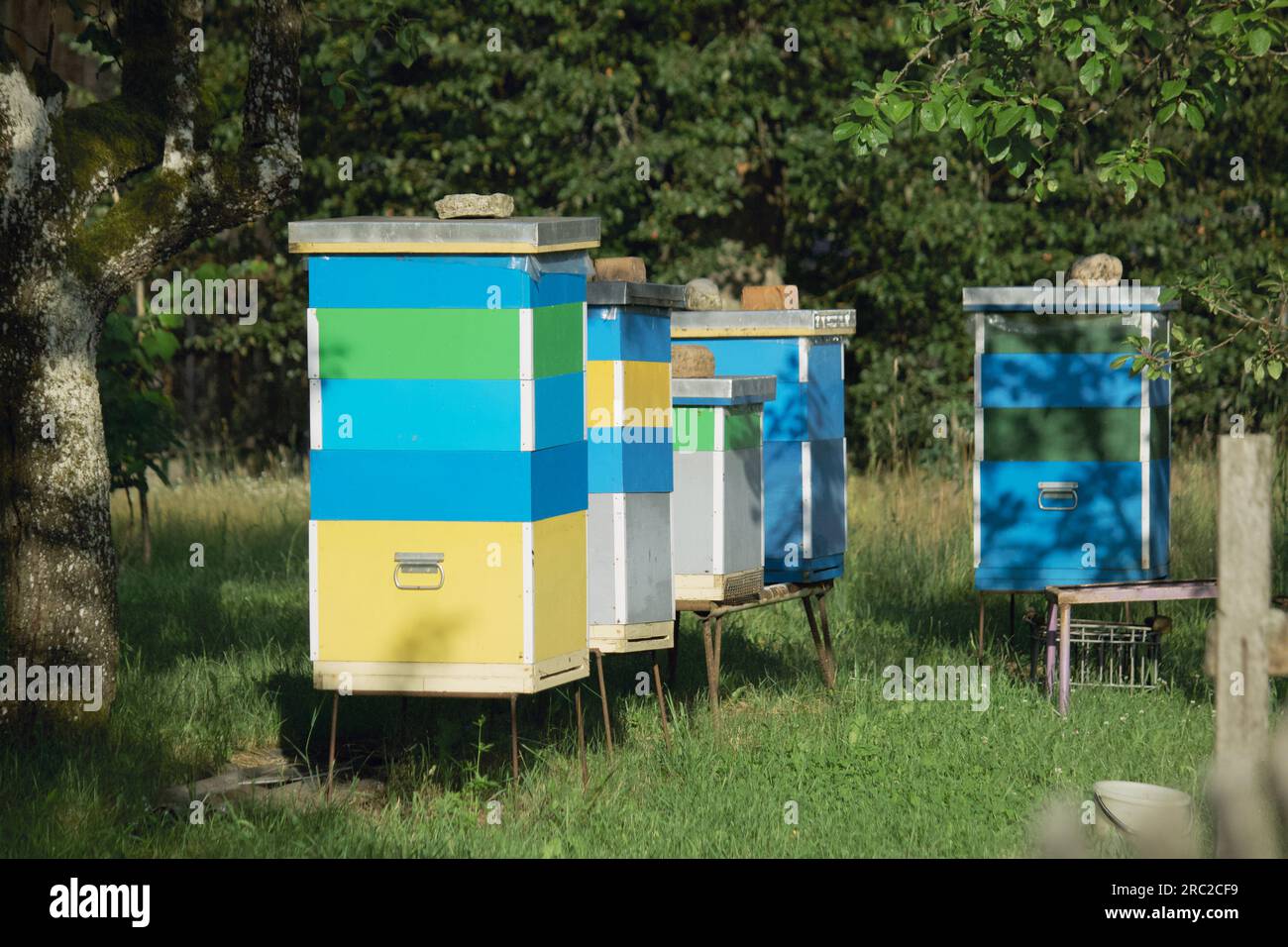 Multi-colored bee hives. Stand in rows in a village garden Stock Photo ...