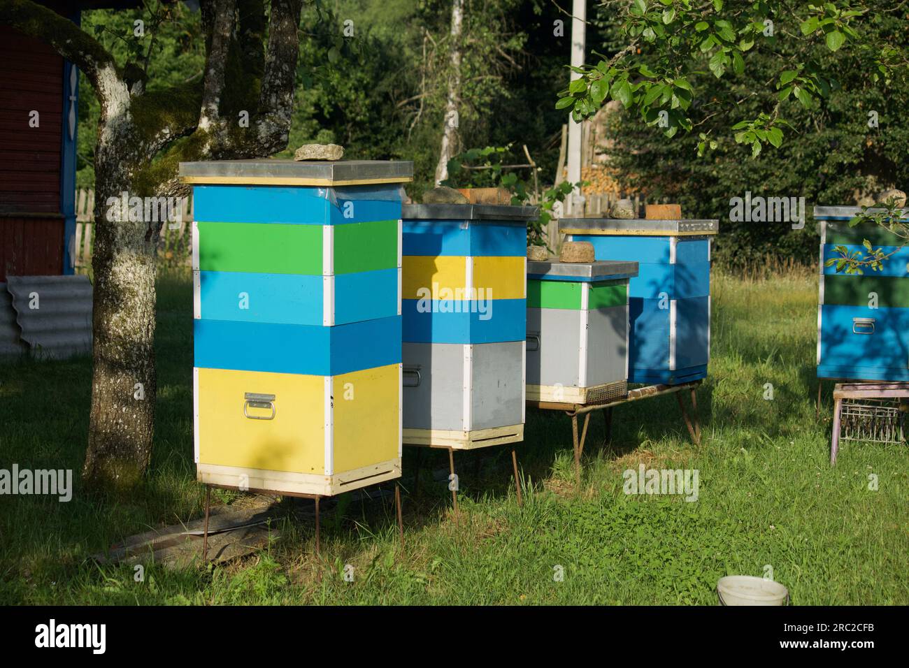 Multi-colored bee hives. Stand in rows in a village garden Stock Photo ...