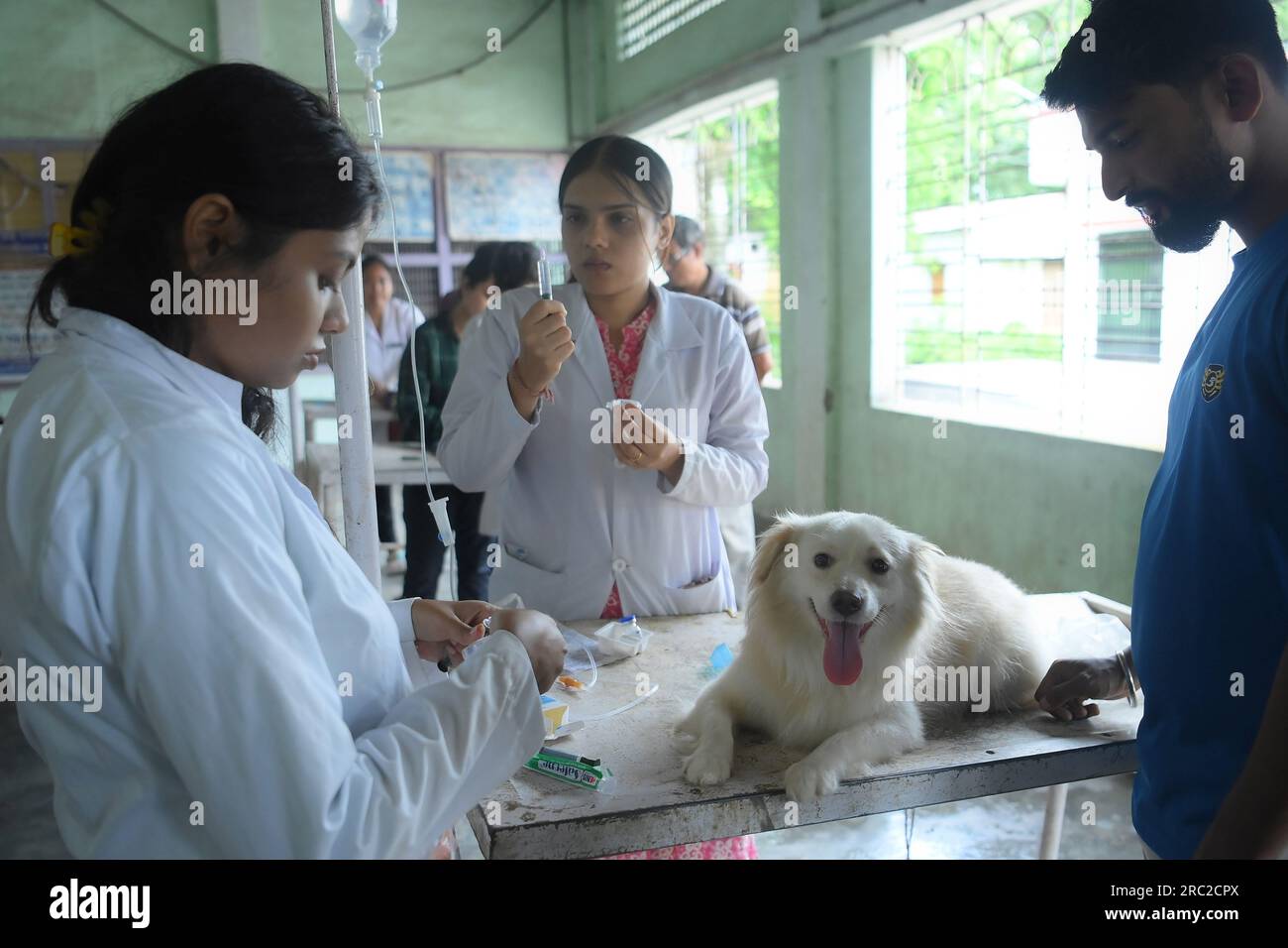 Animals are getting treatment and vaccination on World Zoonoses Day in ...