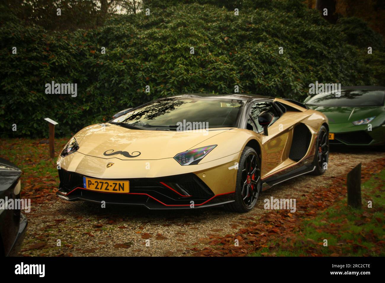 Gold Plated Lamborghini Veneno