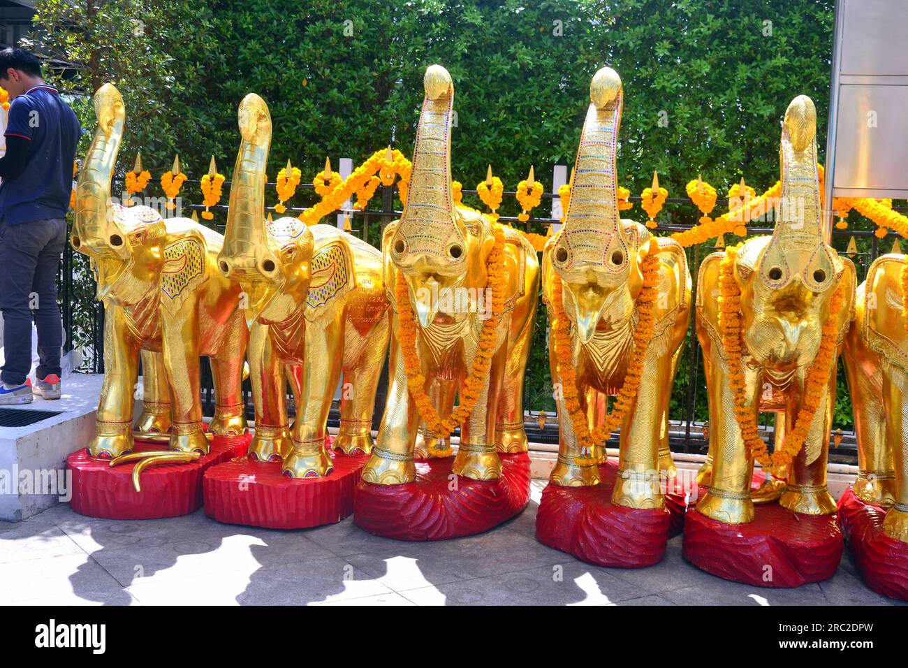 Gold coloured elephants hi-res stock photography and images - Alamy