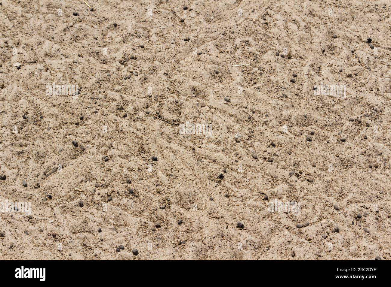 Sandy ground with pattern of crossing sheep tracks in zoo Stock Photo ...