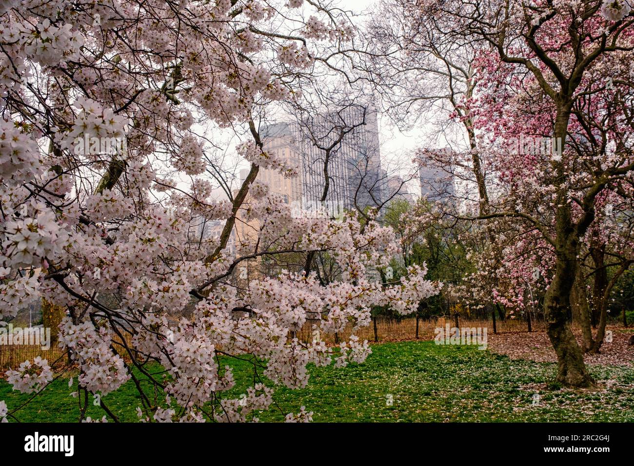 New York, USA - April 13, 2023: View of Manhattan's Central Park in ...