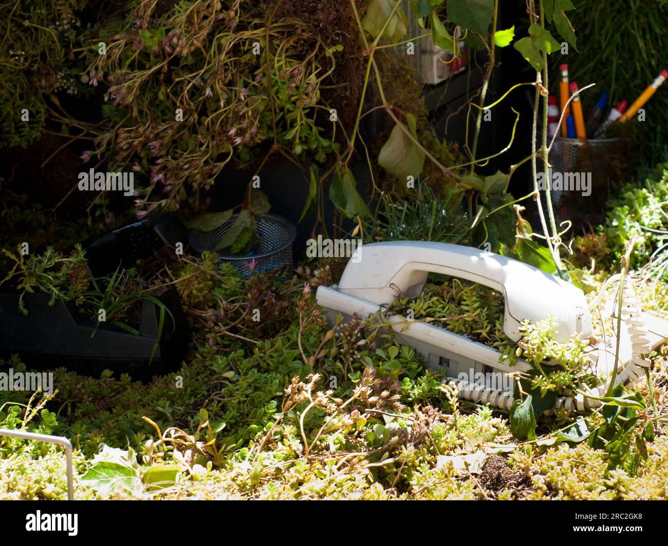 Abandoned office overgrown plants hi-res stock photography and images ...