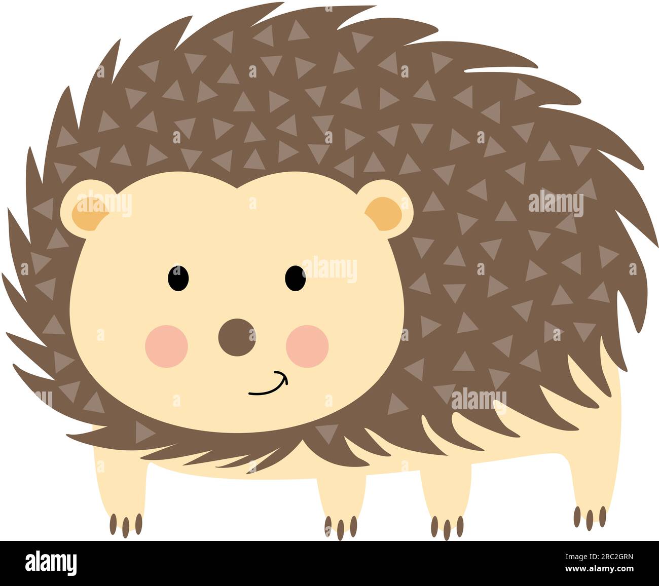 Friendly hedgehog isolated on white Stock Photo - Alamy