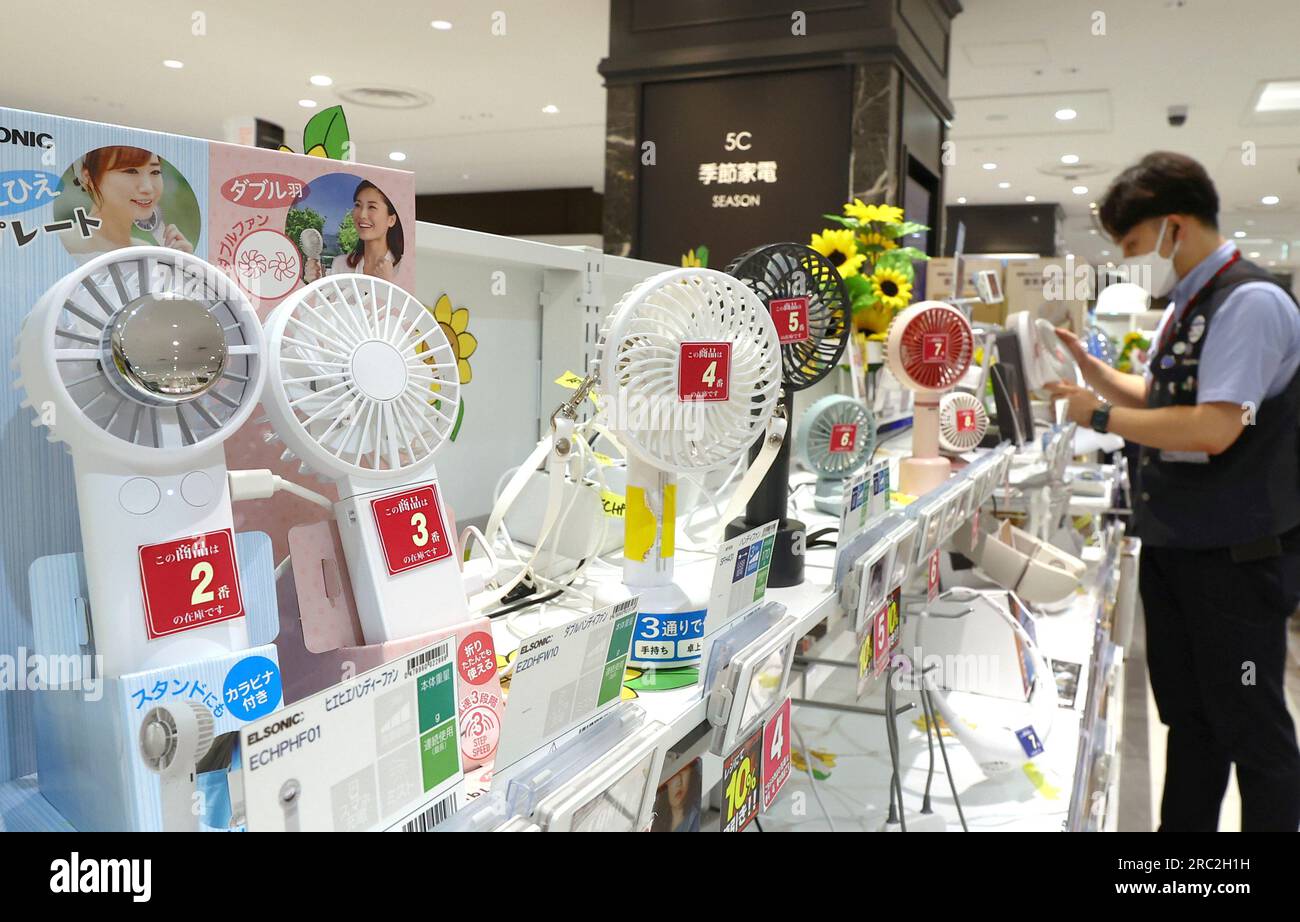 A photo shows portable electric fans lined up at electronics retail ...