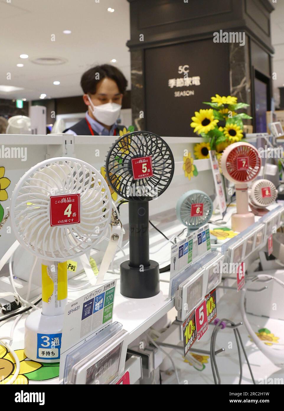 A photo shows portable electric fans lined up at electronics retail ...