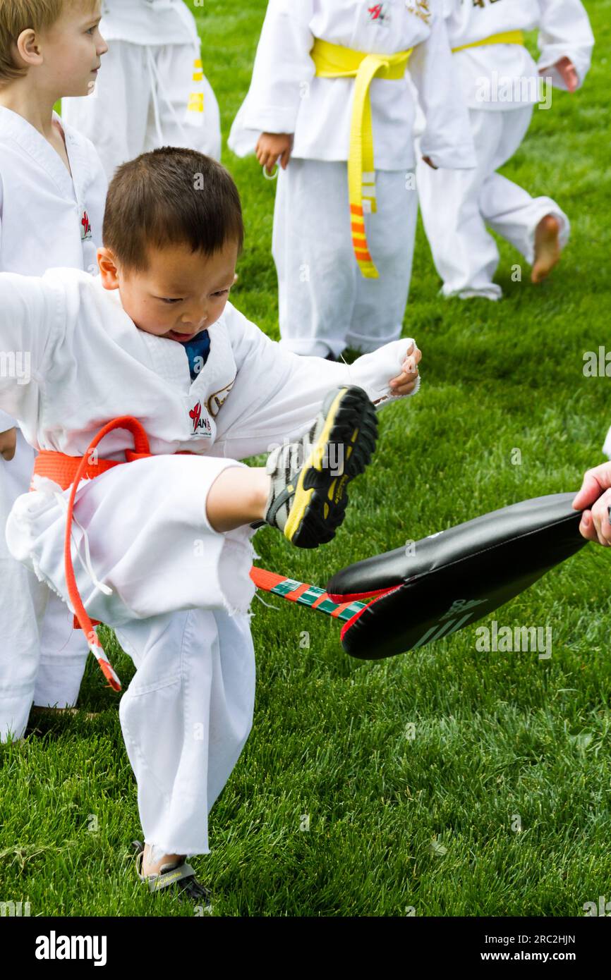 Tae Kwon Do Stock Photo - Alamy