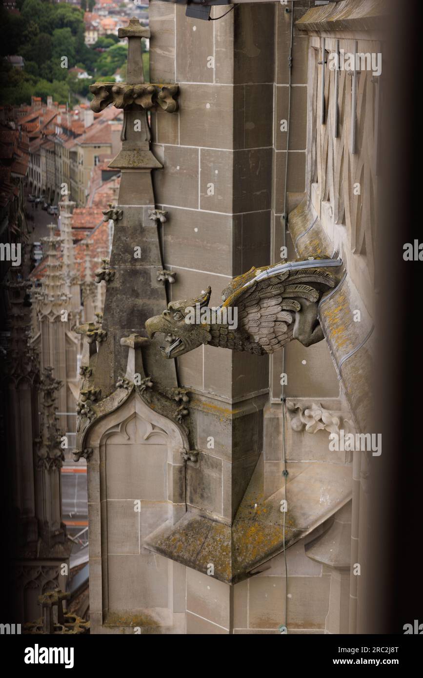 gargoyle on the walls of Berner Münster in Bern Stock Photo - Alamy