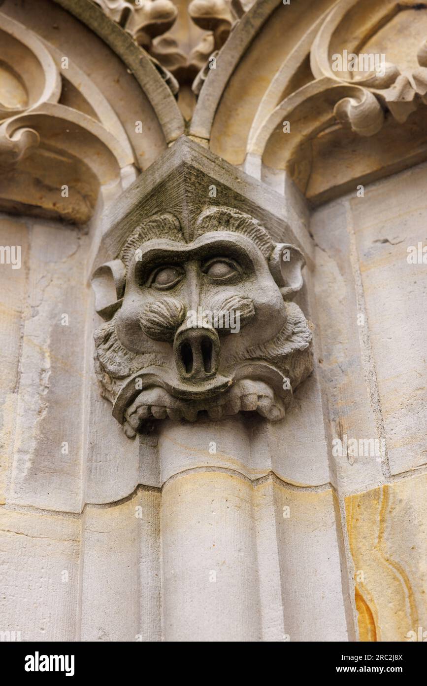 gargoyle on the walls of Berner Münster in Bern Stock Photo - Alamy