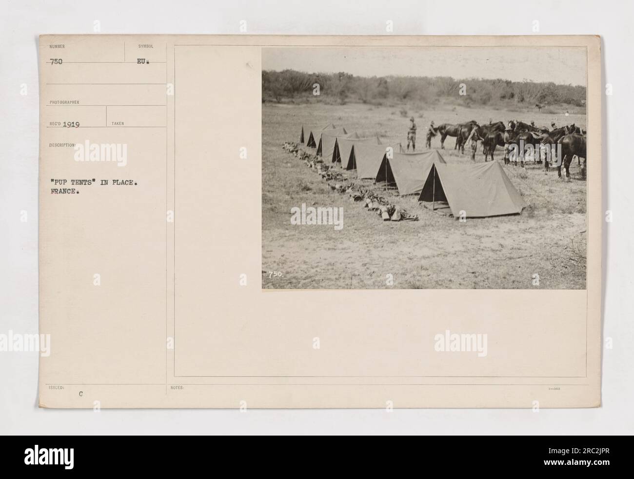 Soldiers setting up "Pup" tents in France during World War 1. This ...