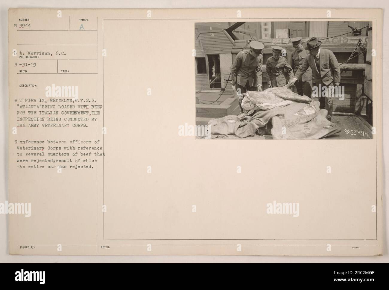 Soldiers from the Army Veterinary Corps inspecting quarters of beef ...