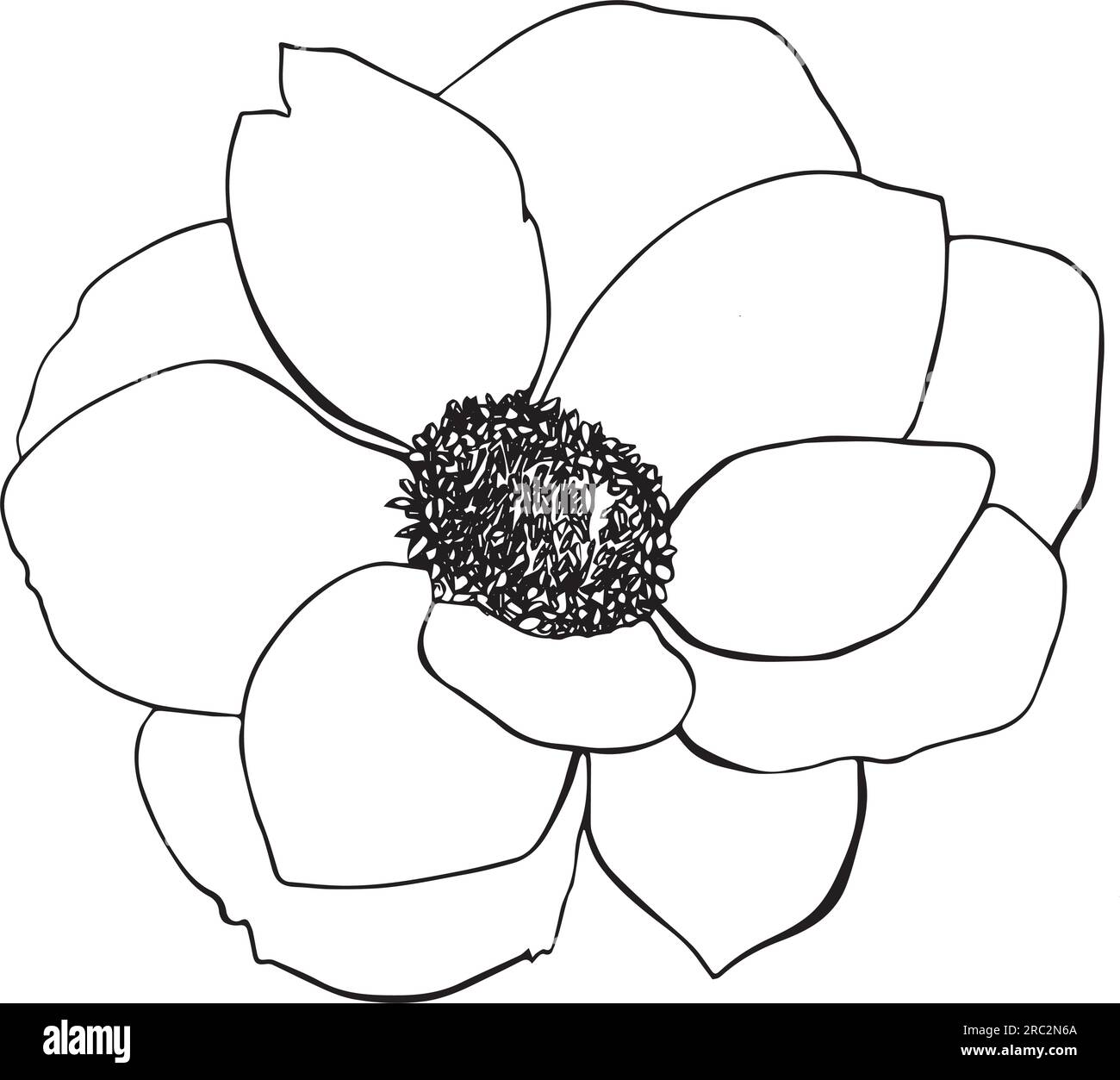 Vector Anemone flower in outline style. Hand drawn floral isolated ...