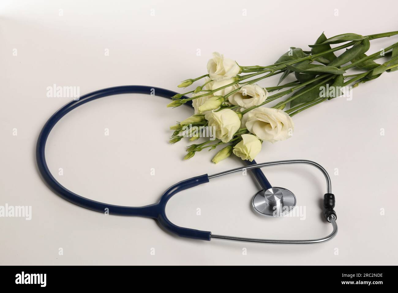 Stethoscope and eustoma flowers on white background. Happy Doctor's Day ...