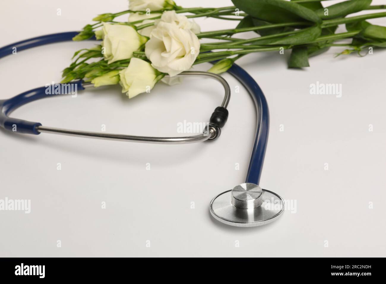 Stethoscope and eustoma flowers on white background. Happy Doctor's Day ...