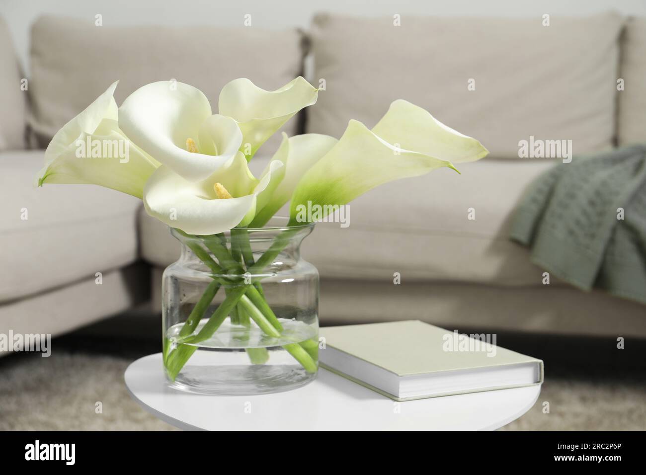Beautiful calla lily flowers in glass vase and book on white table ...