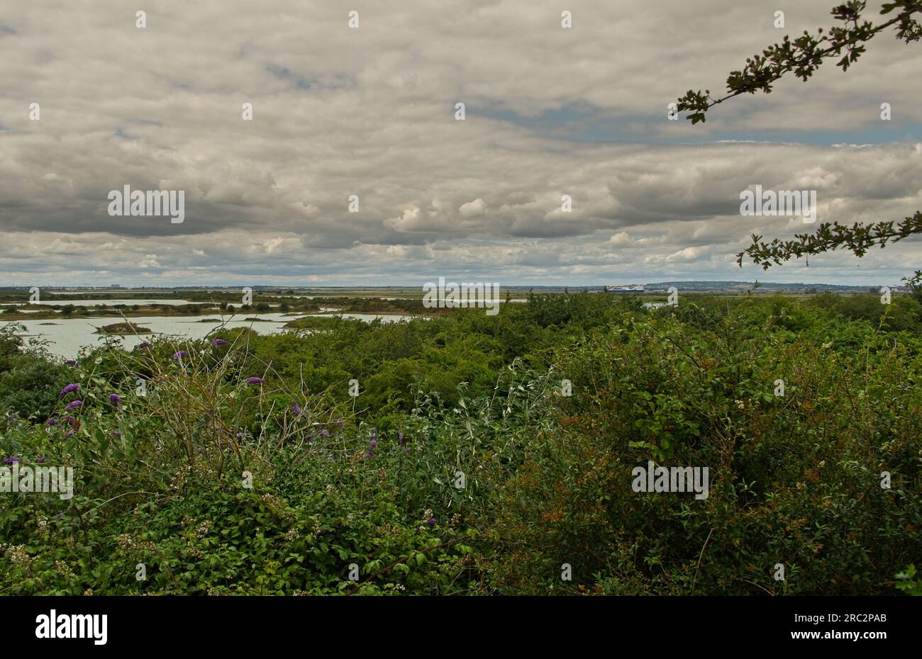 Cliffe pools hi-res stock photography and images - Alamy