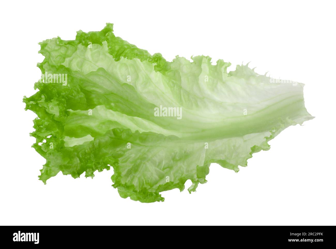 One green lettuce leaf isolated on white. Salad greens Stock Photo - Alamy