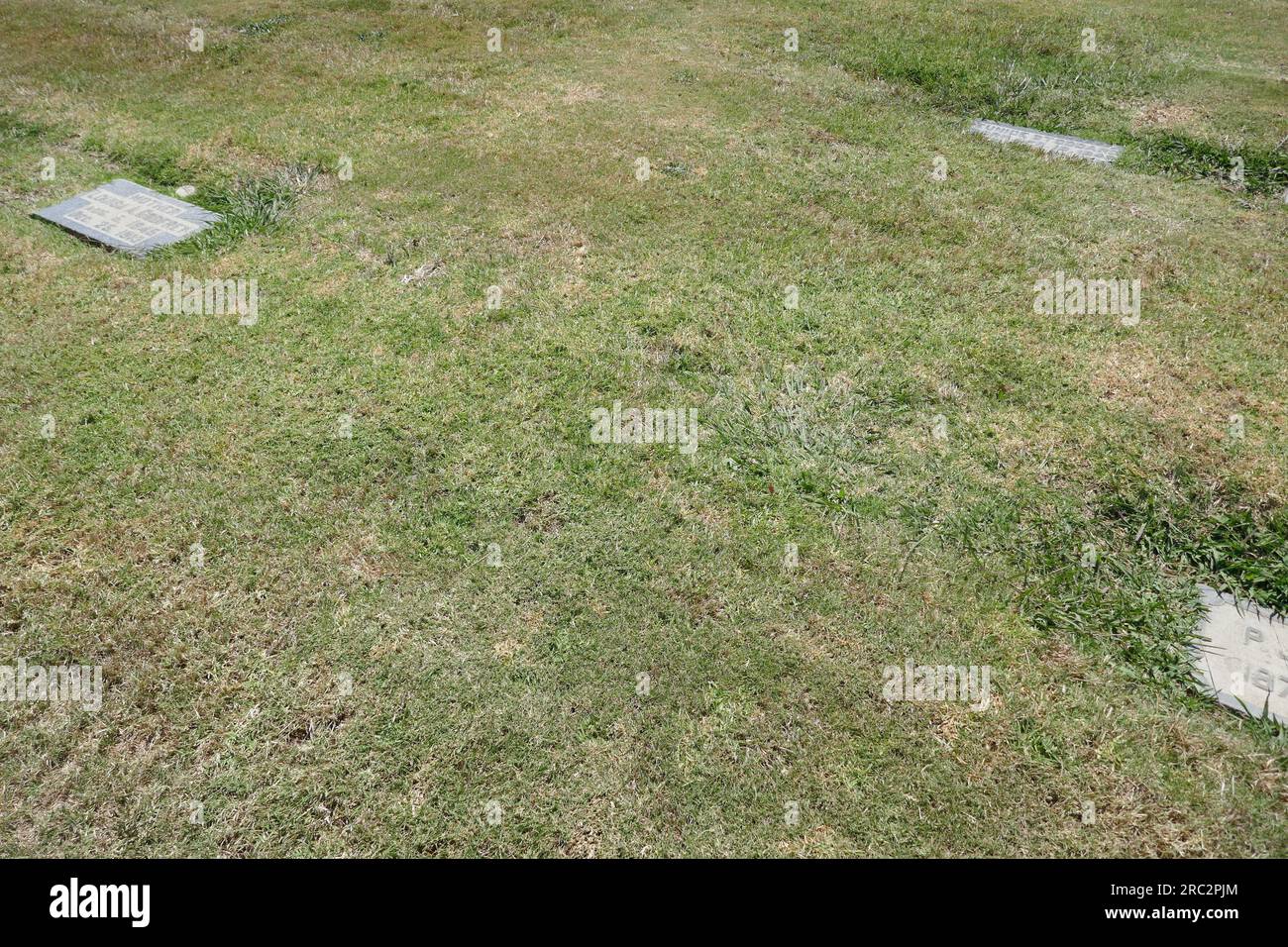 Inglewood, California, USA 11th July 2023 Actor Fred Kohler Unmarked ...
