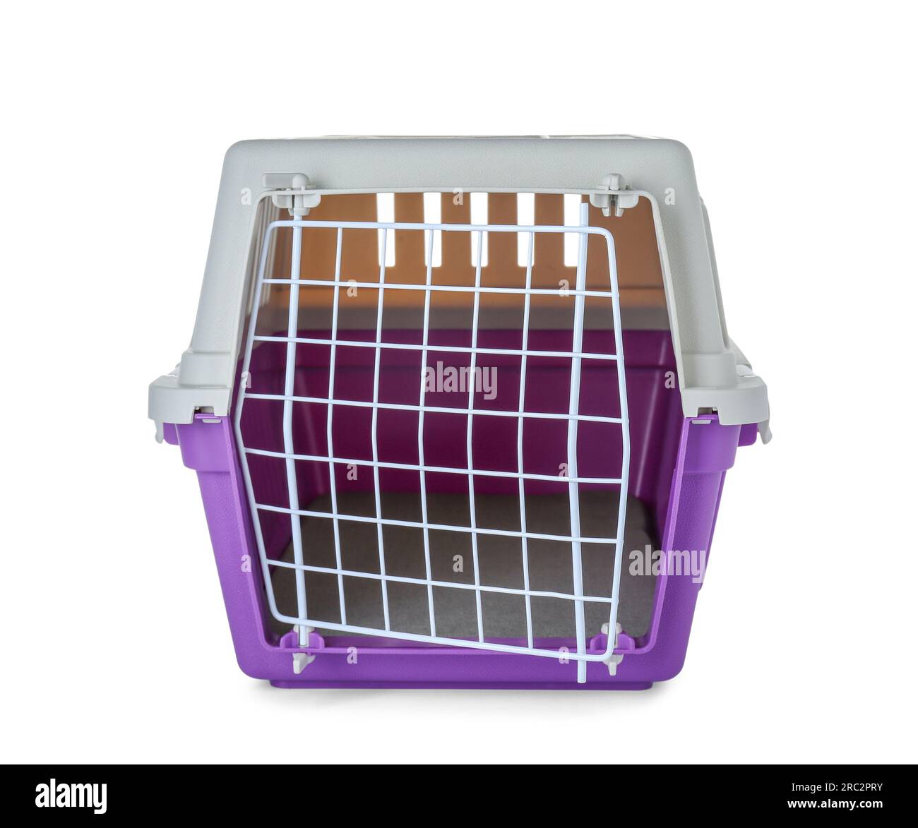 Dog violet container hi-res stock photography and images - Alamy