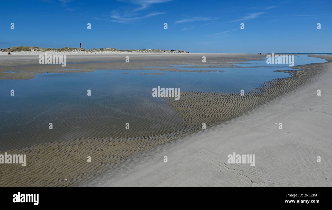 The beach on our way to the Lighthouse, Nebel, Amrum, Germany Stock ...