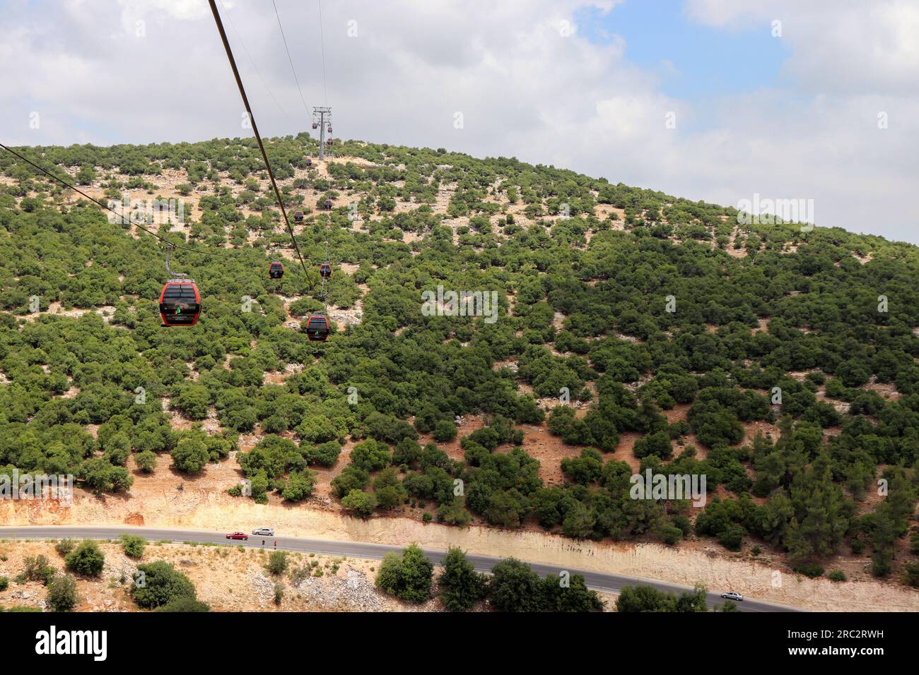 A journey in the green forests of Ajloun in Jordan, from inside the ...