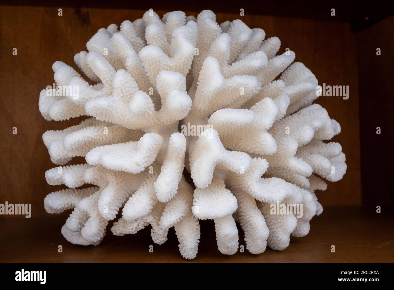 White coral aegean sea hi-res stock photography and images - Alamy