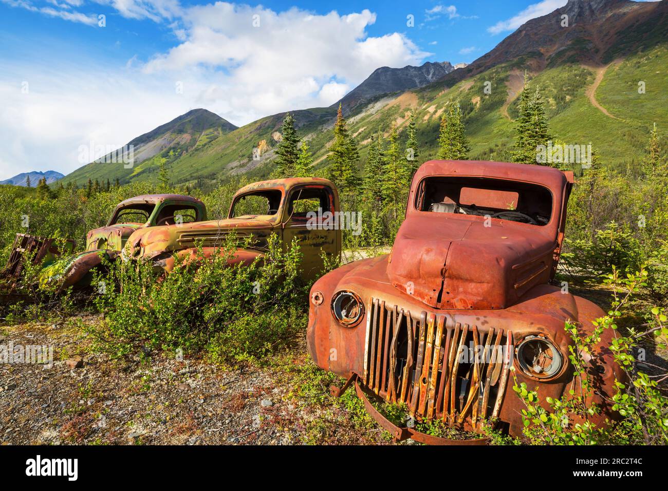 An array of abandoned rusty post war trucks that lay rusting away in ...