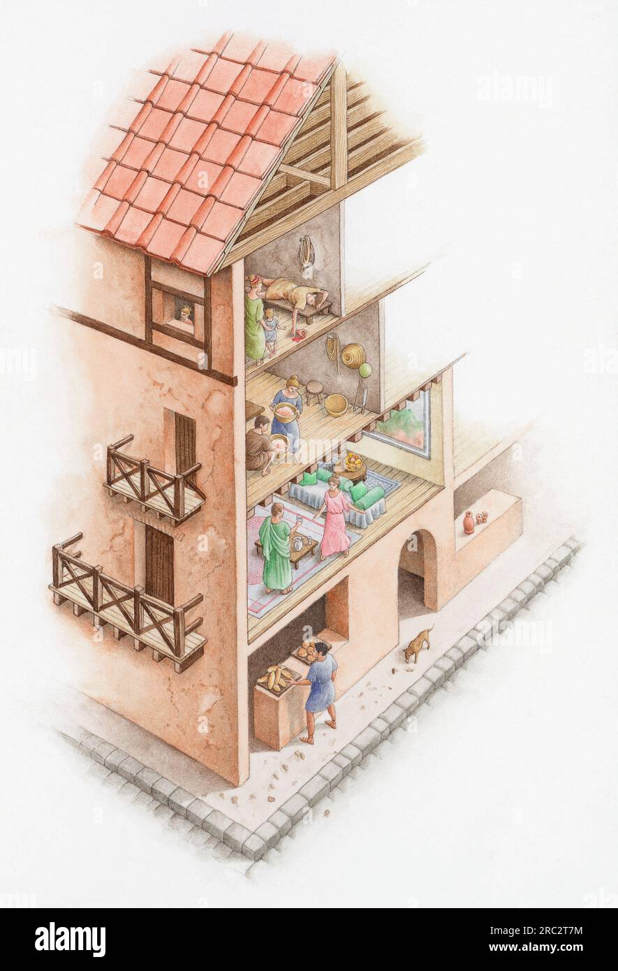 Illustrated cross section of a four story house Stock Photo - Alamy