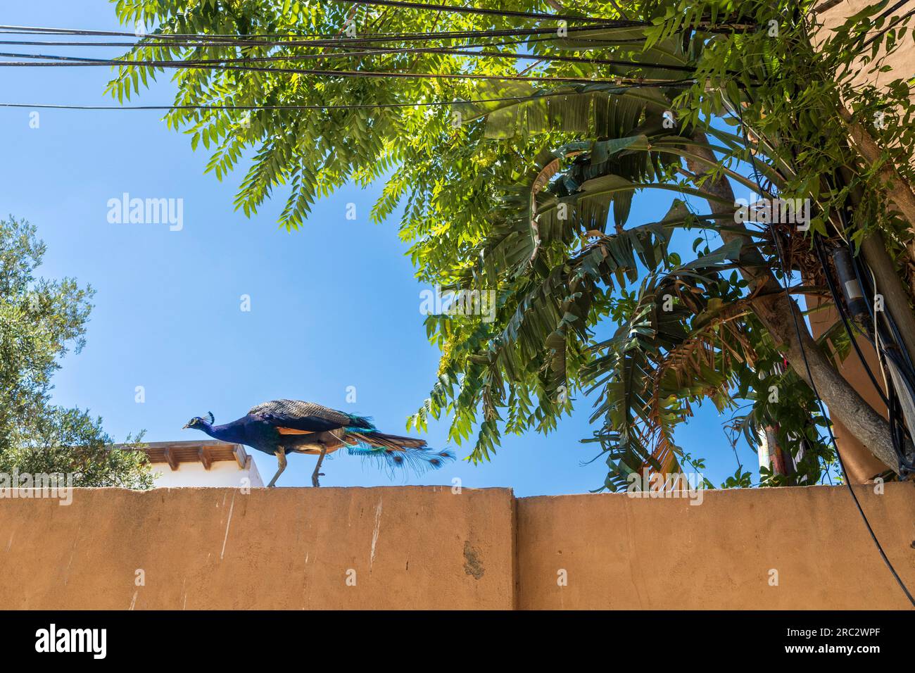 Tel Aviv, Israel -June 2023, Yefet Street is one of the main streets of ...