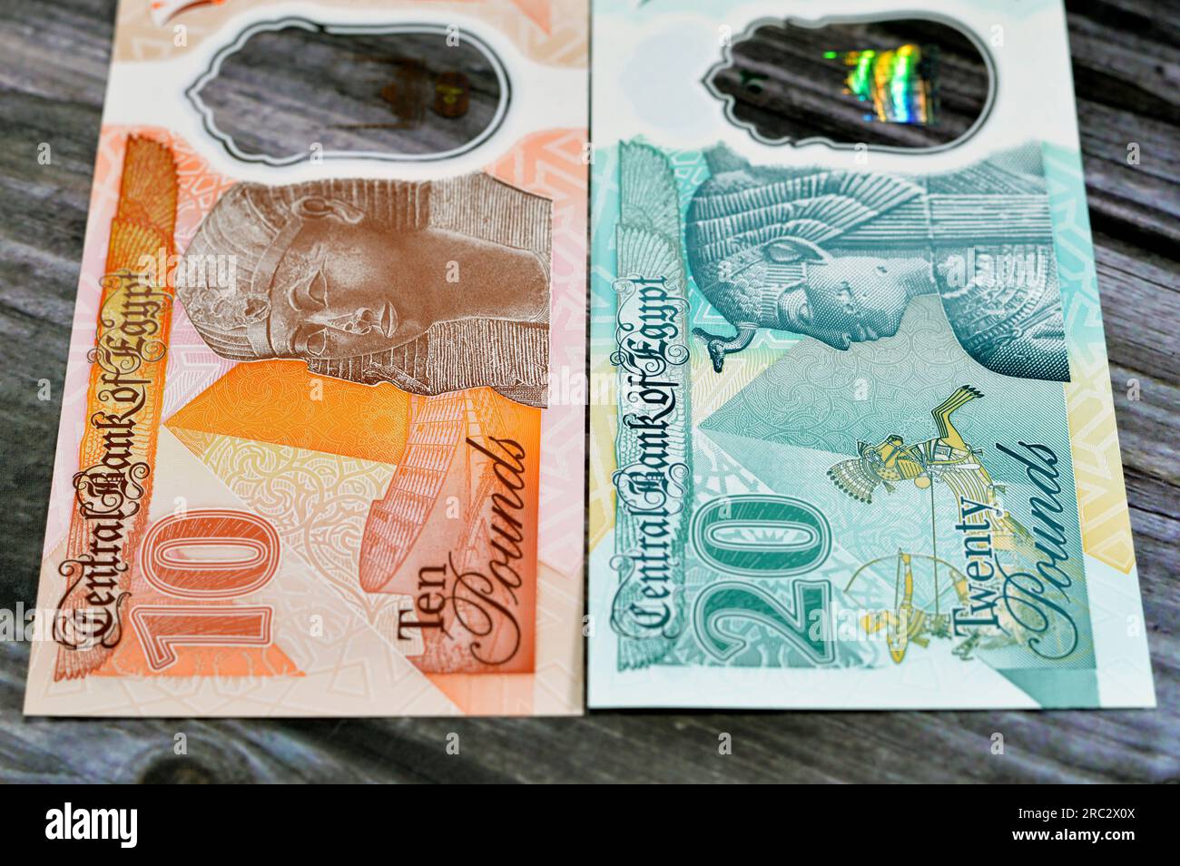 Egyptian new polymer money banknotes cash money bills background of ...