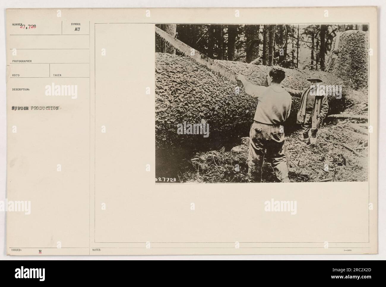 "Soldiers working in a lumber yard during World War I. The photograph ...