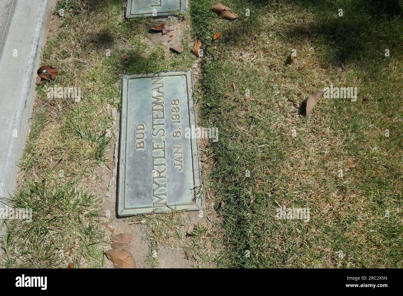 Myrtle stedman hi-res stock photography and images - Alamy