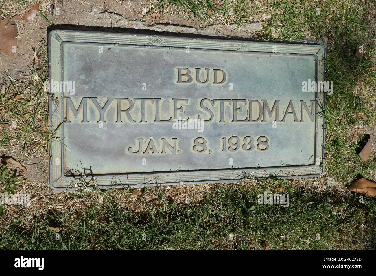 Myrtle stedman hi-res stock photography and images - Alamy