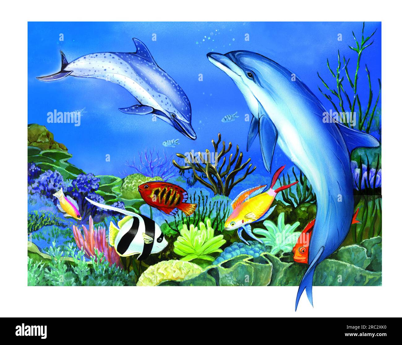 Under ocean dolphin Cut Out Stock Images & Pictures - Alamy