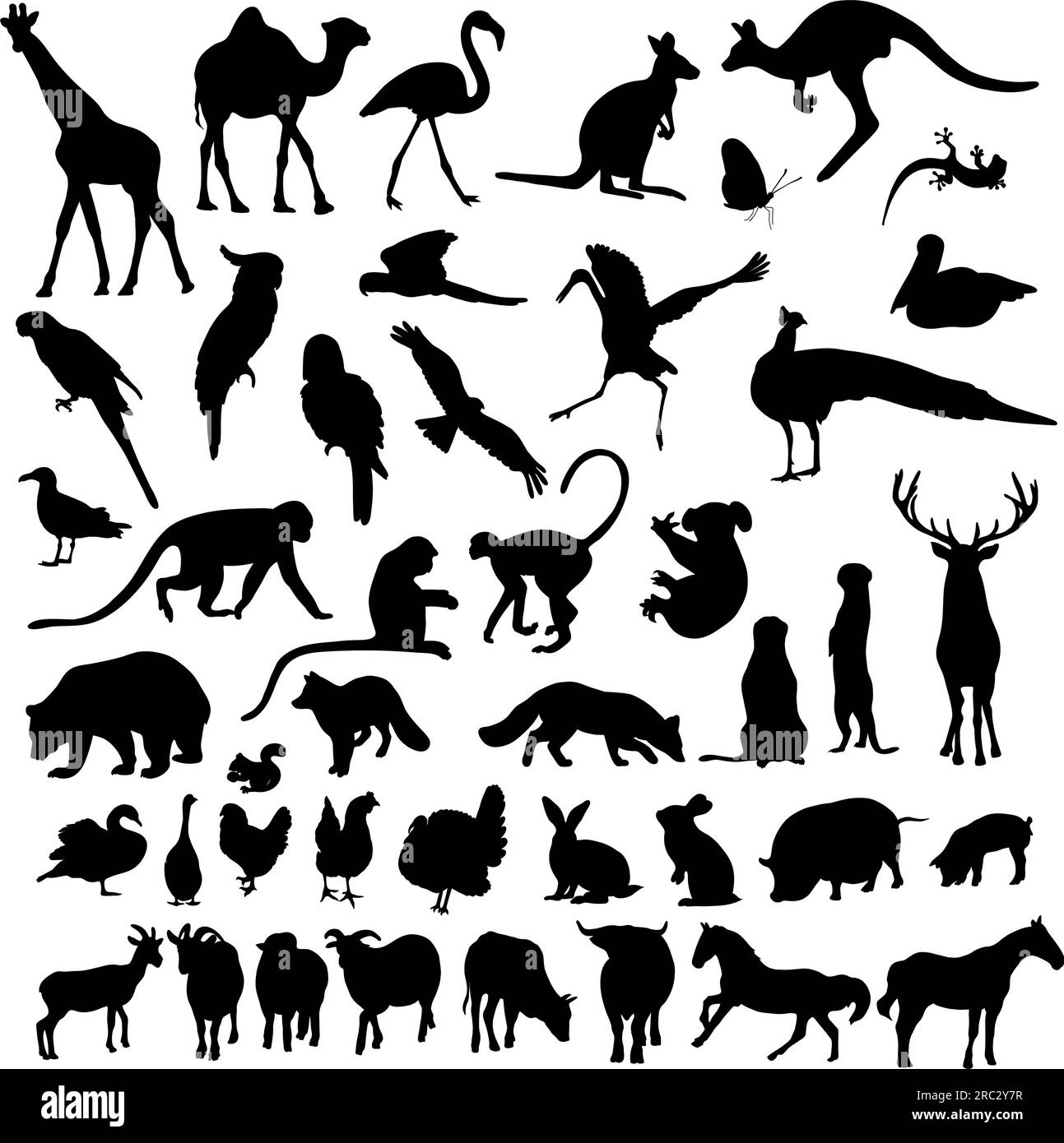 Big collection silhouettes animals and birds. Vector illustration ...