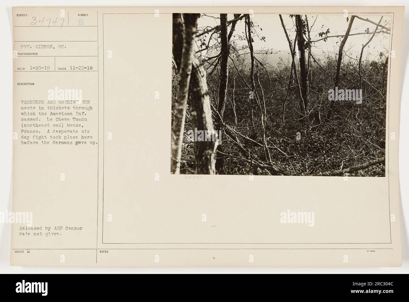 "PVT. Gibbon captured this photograph on 11-22-1918 in Meuse, France ...