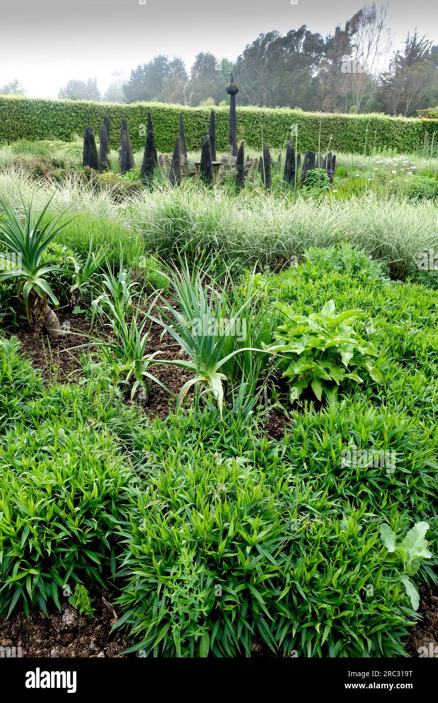 East Ruston Old Vicarage Gardens, Norfolk Stock Photo - Alamy