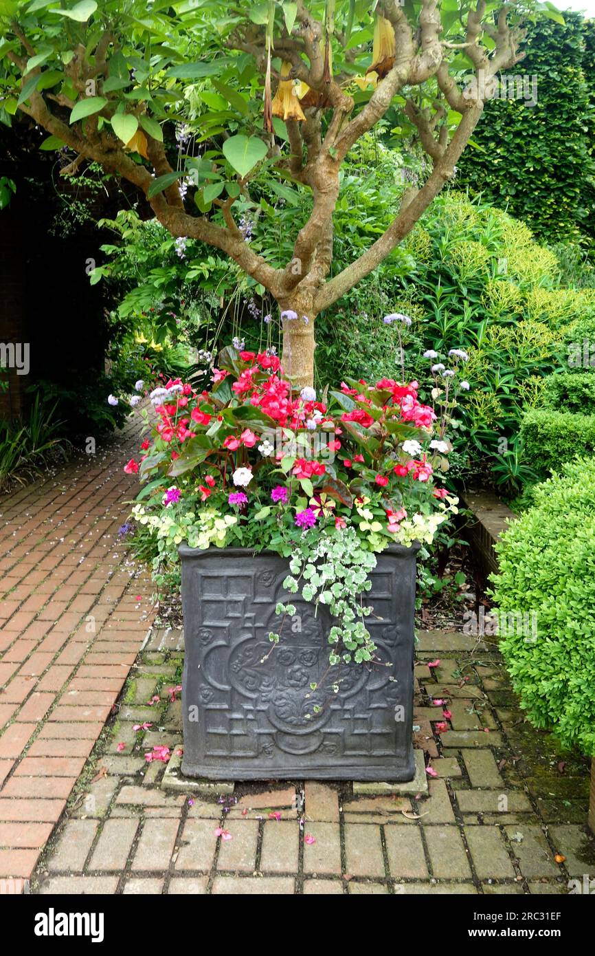 East Ruston Old Vicarage Gardens, Norfolk Stock Photo - Alamy