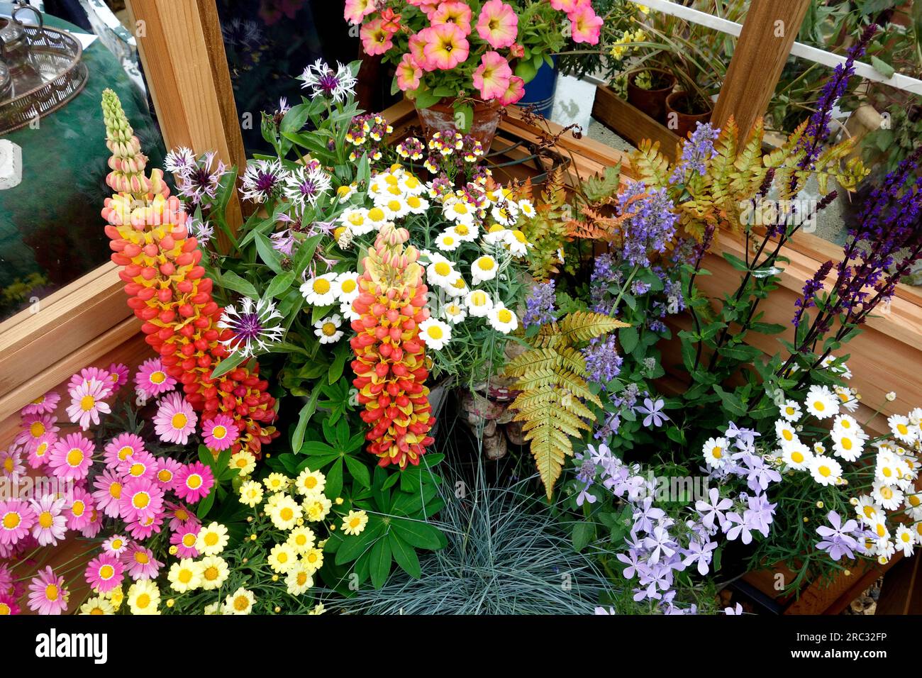 RHS Flower Show,, Chatsworth House, England Stock Photo - Alamy