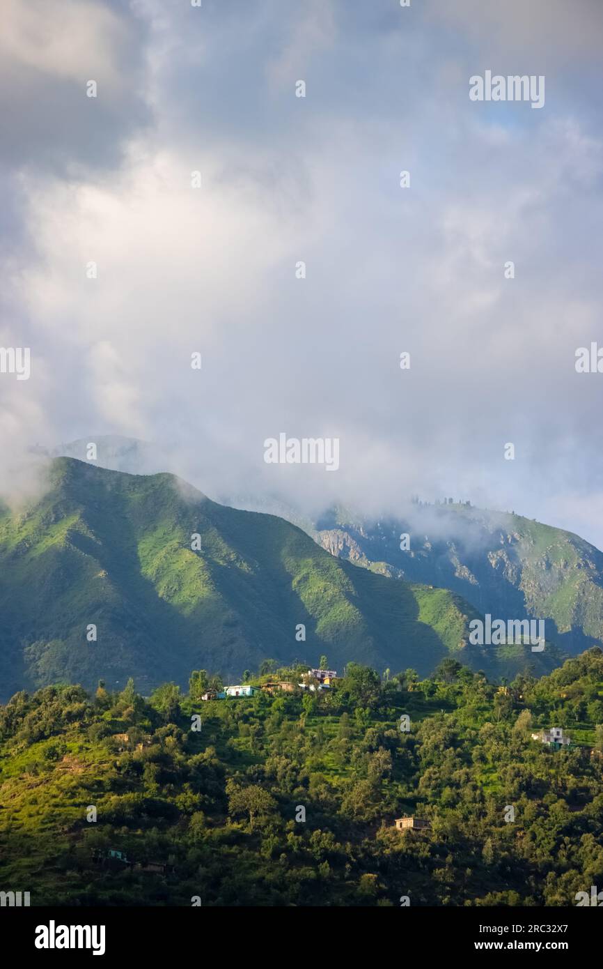 wonderful springtime landscape in mountains. grassy field and rolling ...