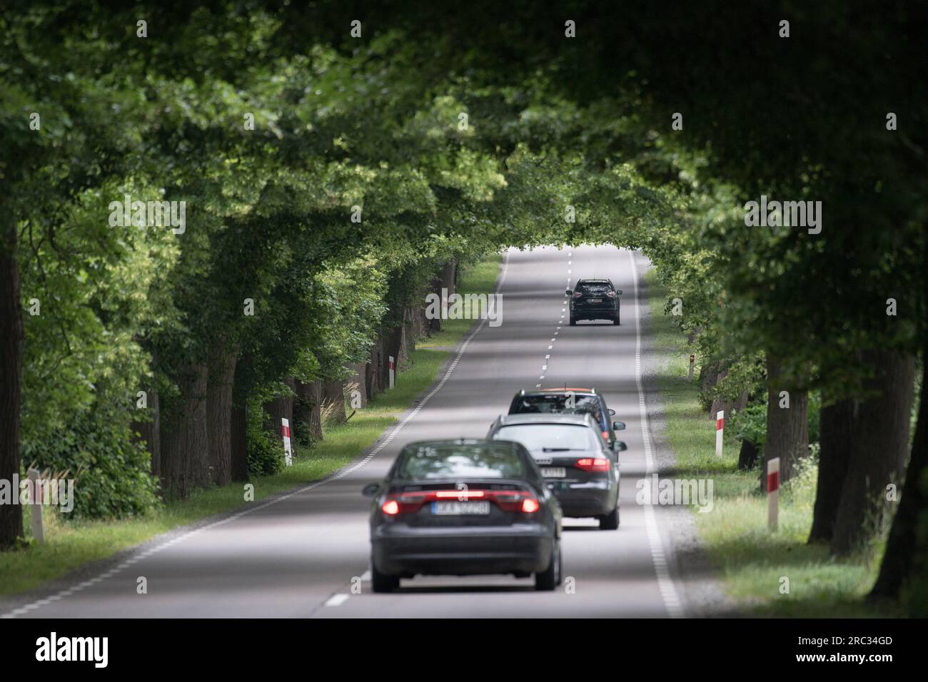 Poland picturesque tree tunnel hi-res stock photography and images - Alamy