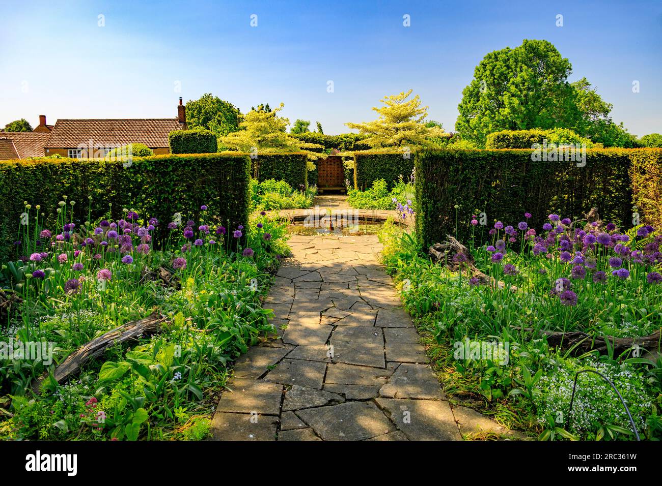 Colourful spring borders with purple alliums in the gardens at ...