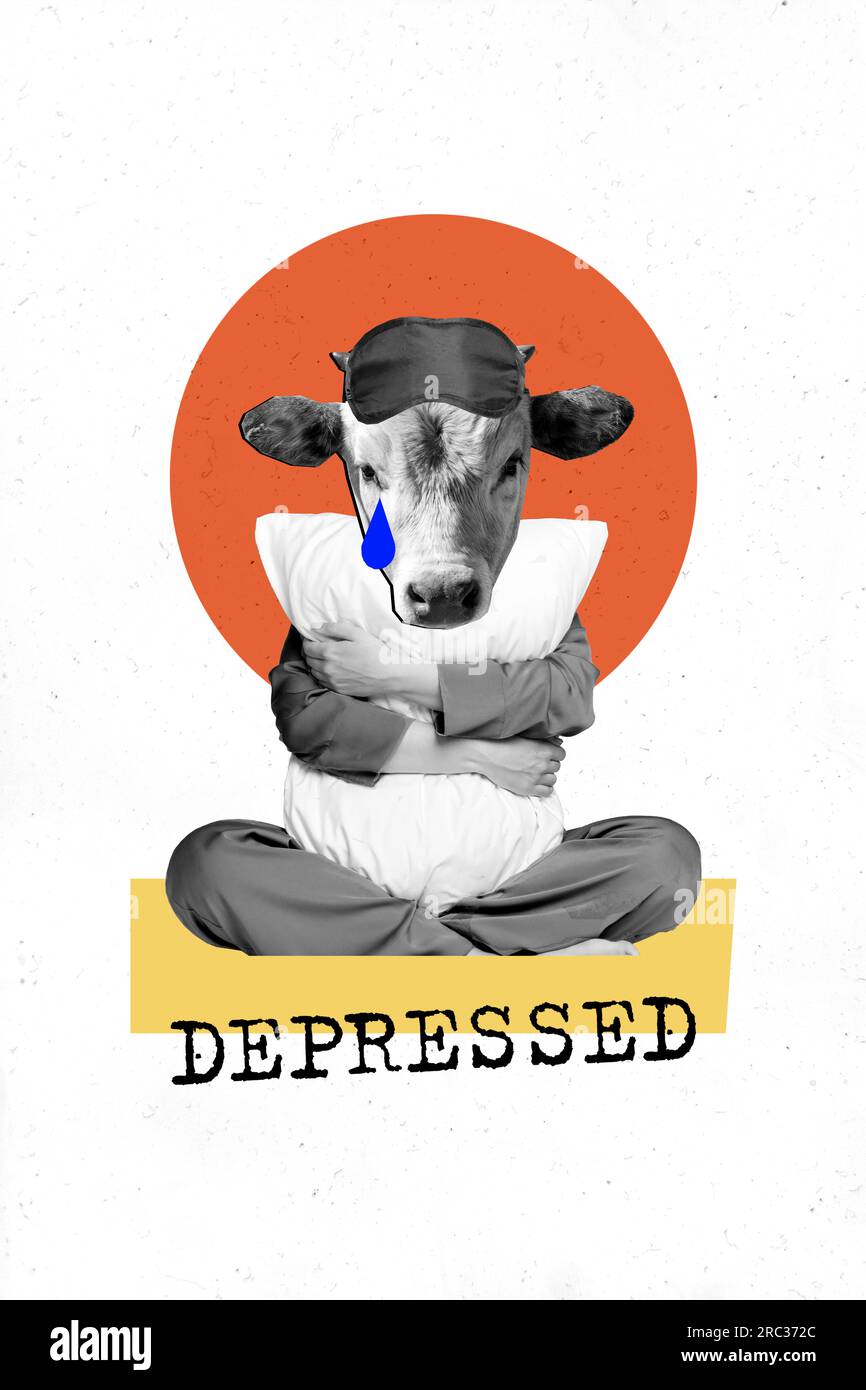 Vertical collage picture of black white colors cow head depressed ...