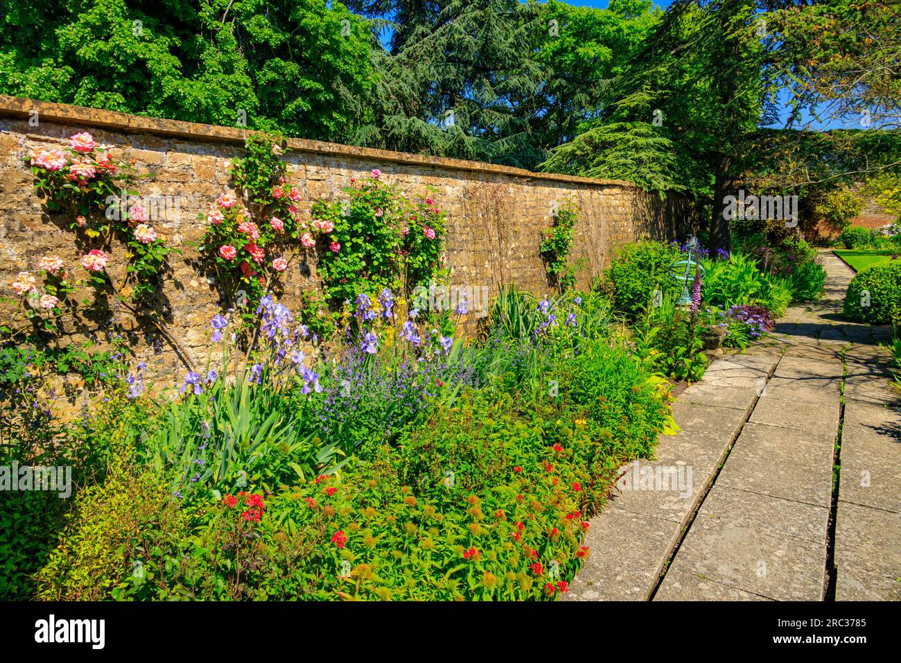 Colourful spring borders with climbing roses in Tintinhull House ...