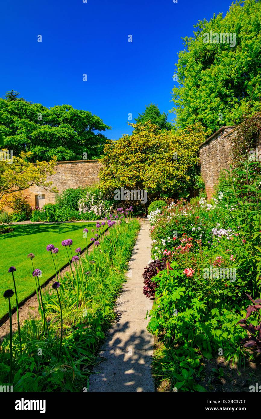 Colourful spring borders with purple alliums in the gardens at ...