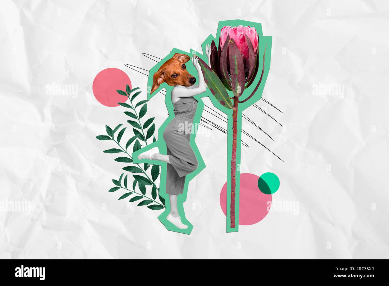 Creative collage illustration picture of headless girl absurd dog ...