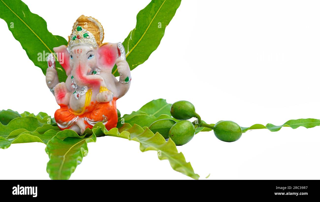 Lord ganesha idol placed on a fresh green leaf of ashoka or Saraca ...